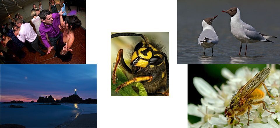 ImageZ Club Challenge Round 2 - ImageZ